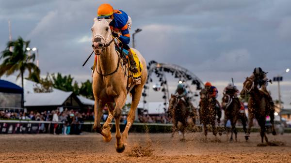 Five Takeaways You Need to Know From 2025 Pegasus World Cup Weekend ...